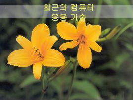 최근의 컴퓨터 응용기술-1페이지