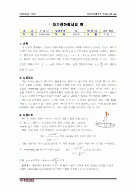 자기장하에서의 힘-1페이지