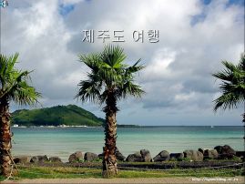 제주도 여행-1페이지