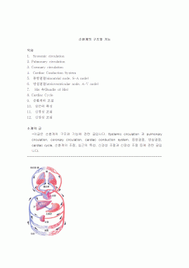 [자연과학] 순환계의 구조와 기능-1페이지