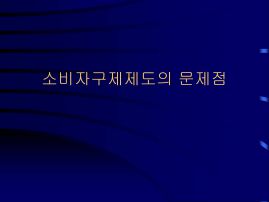 소비자구제제도의 문제점-1페이지