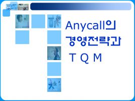 애니콜(Anycall)의 경영전략과 TQM-1페이지