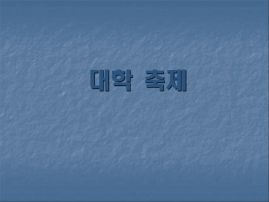 대학축제의 실태 및 문제점과 나아갈 방향-1페이지