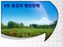 환경과 행정판례-1페이지