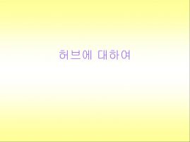 허브에 대하여-1페이지