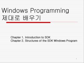 Windows Programming제대로 배우기-1페이지