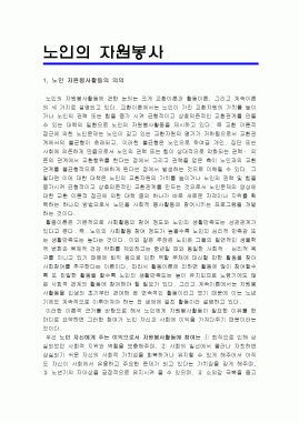 노인 자원봉사활동의 문제점과 활성화방안-1페이지