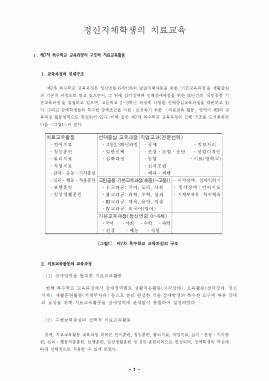 정신지체 학생의 치료교육-1페이지