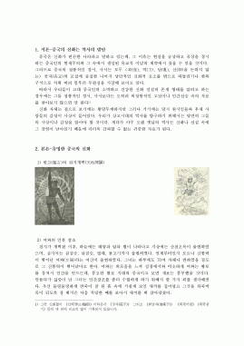 중국의 신화와 특징-1페이지