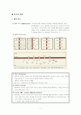 투석의 종류-1페이지