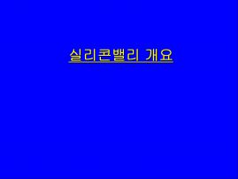 실리콘밸리 개요-1페이지