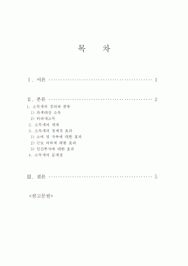 [재정학]소득세-1페이지