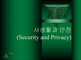 사생활과 안전(Security and Privacy)-1페이지