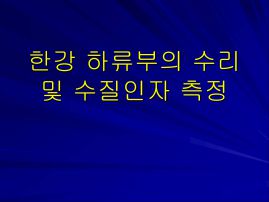 한강 하류부의 수리 및 수질인자 측정-1페이지