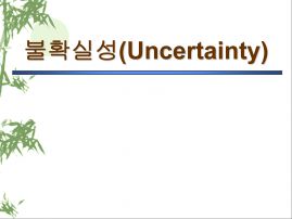 불확실성(Uncertainty)-1페이지