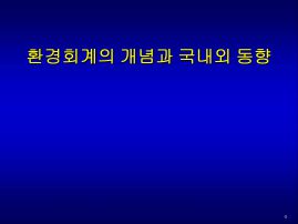 환경회계의 개념과 국내외 동향-1페이지