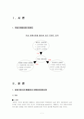 삼성테스코 홈플러스 전략기획서-1페이지