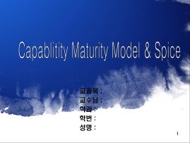 Capablitity Maturity Model & Spice (CMM)-1페이지