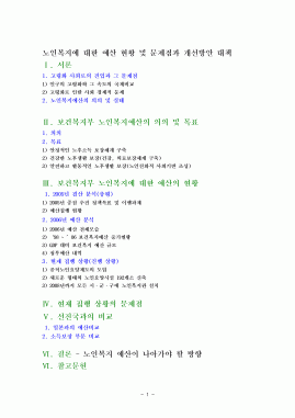 노인복지에 대한 예산 현황 및 문제점과 개선방안 대책-1페이지