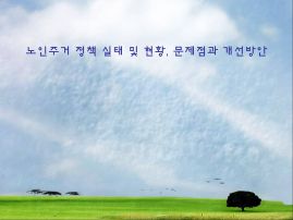 노인주거 정책 실태 및 현황, 문제점과 개선방안-1페이지