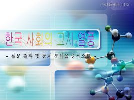 한국 사회의 고시 열풍-설문 결과 및 통계 분석을 중심으로-1페이지