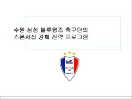 수원 삼성 블루윙즈 축구단의 스폰서십 강화 전략 프로그램-1페이지