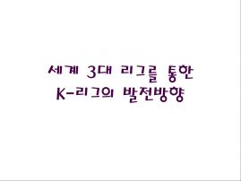 세계 3대 리그를 통한 K-리그의 발전방향-1페이지