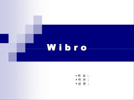 와이브로(wibro)와 와이파이(wi-fi) 비교-1페이지