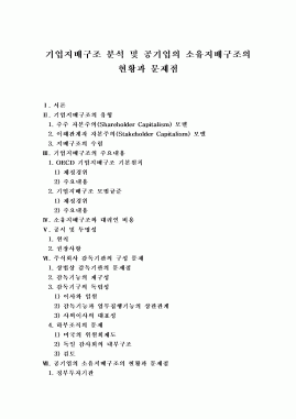 [기업지배구조][소유지배구조][공기업][기업경영]기업지배구조 분석 및 공기업의 소유지배구조의 현황과 문제점(기업지배구조의 유형, 기업지배구조의 주요내용, 공기업의 소유지배구조의 현황과 문제점)-1페이지