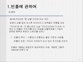 빈폴 마케팅사례분석-1페이지