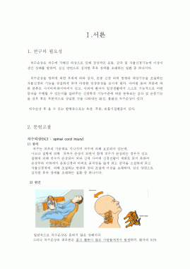 중환자실 척수손상 SCI pt. case study 간호과정-1페이지