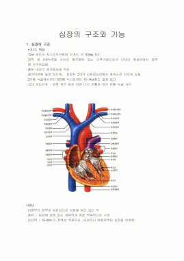 심장의 구조 및 기능-1페이지