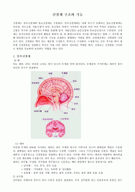 신경계 구조와 기능 [자연과학] -1페이지