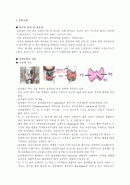 갑상선 절제술 (수술실)-1페이지