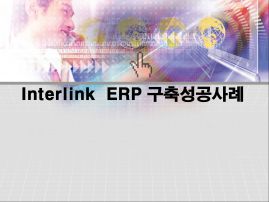 인터링크 ERP구축 성공사례-1페이지