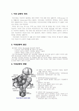 자궁근종의 정의 자궁근종 원인 자궁근종 종류 자궁근종 병태생리 자궁근종 진단, 증상 자궁근종 치료와 간호 자궁근종과 임신-1페이지