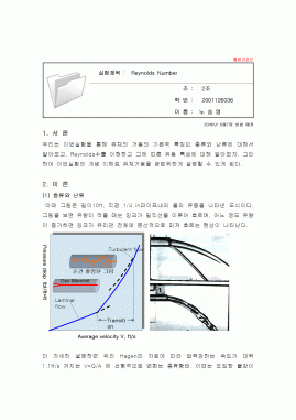 레이놀드 수에 대한 조사-1페이지