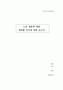 노인 재혼의 개념과 특징, 실태, 현황, 문제점, 노인 재혼문제 개선 방안(2007년 우수 추천 레포트 선정)-1페이지