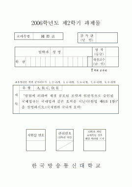 국제법의 국내적 효력-1페이지