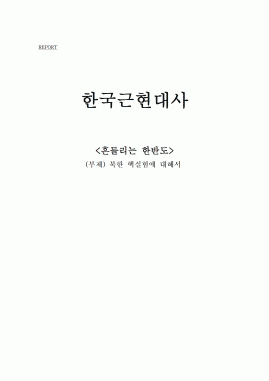 북핵을 어떻게 바라볼것인가-1페이지