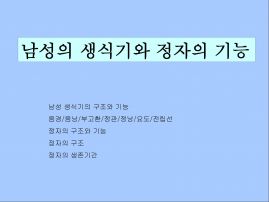 남성의 생식기와 정자의 기능-1페이지