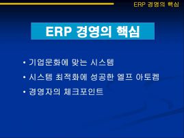 ERP 경영의 핵심-ERP 성공 10계명-1페이지