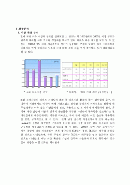 빈폴 마케팅 완벽 분석-1페이지