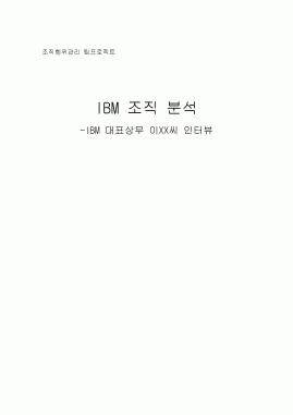 IBM 조직 분석-1페이지