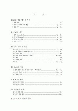 국제 민강 항공 회의-1페이지