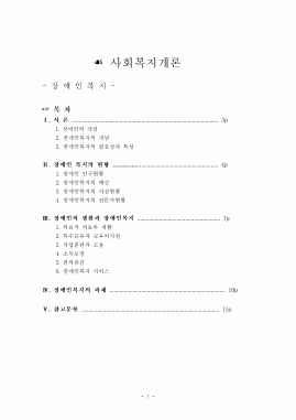 장애인의 개념 장애인 복지의 현황 장애인의 생활과 장애인복지-1페이지