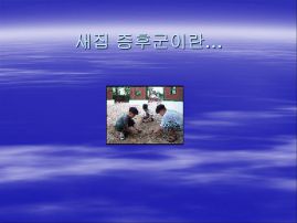 새집 증후군이란…-1페이지