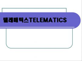 텔레매틱스TELEMATICS-1페이지