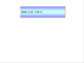 IMM 사업 기획서-1페이지