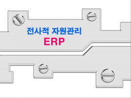 전사적 자원관리(ERP)-1페이지